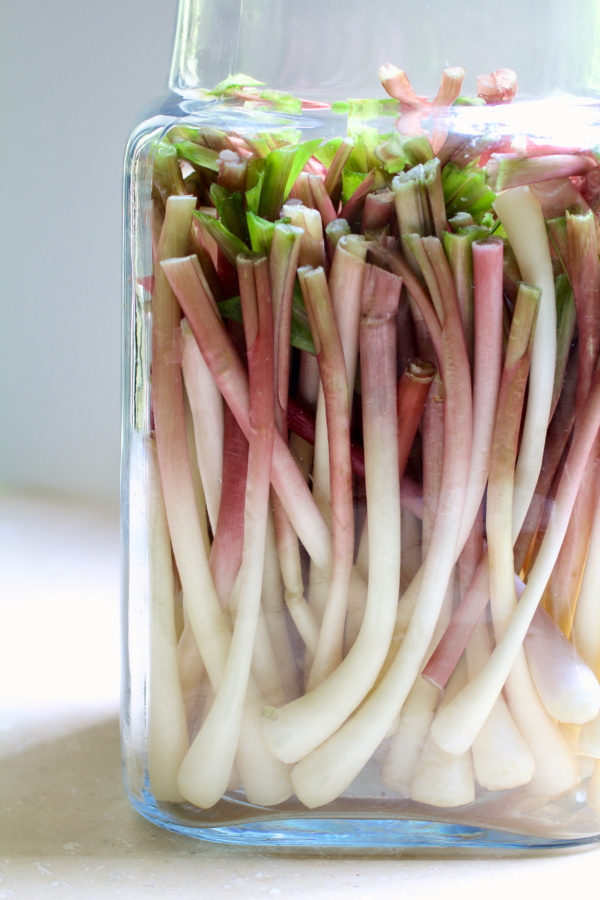 Best Pickled Ramps Recipe - From A Chef's Kitchen