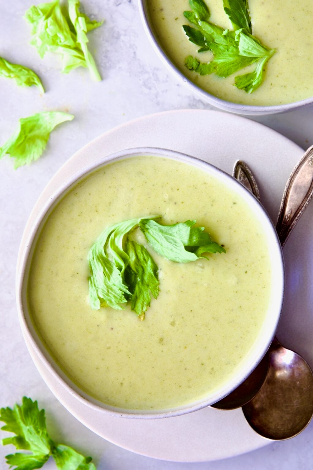 Cream of Celery Leaves Soup Recipe - From A Chef's Kitchen