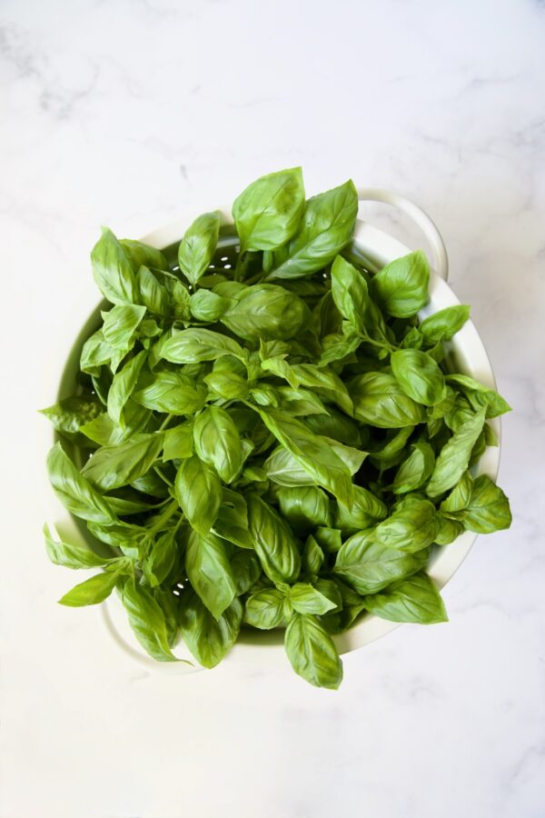 Pesto Genovese - How to Make Classic Basil Pesto the Right Way!