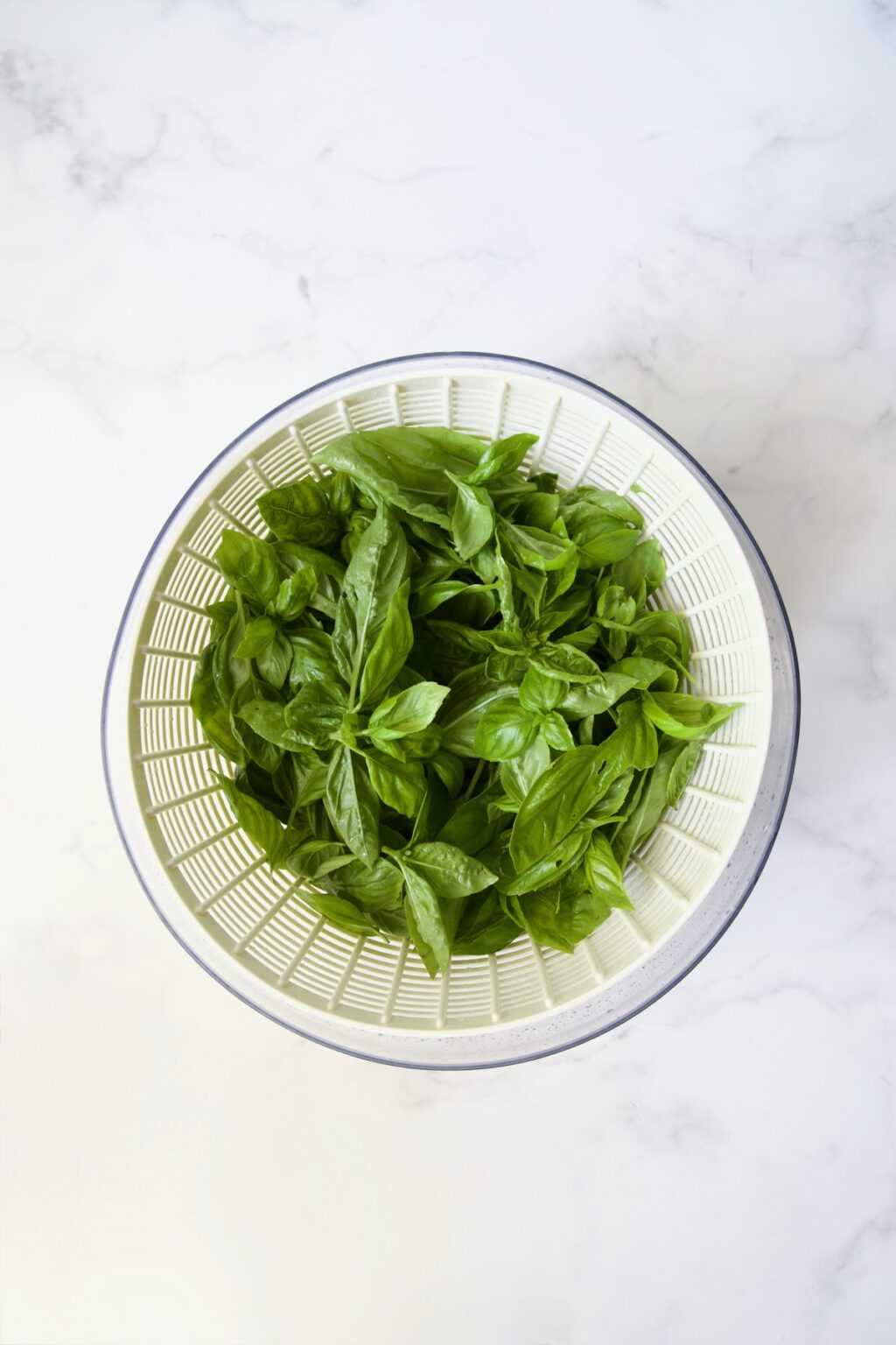 Pesto Genovese - How to Make Classic Basil Pesto the Right Way!