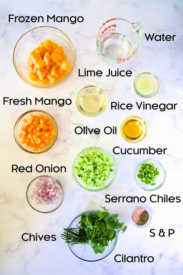 Mango Gazpacho Recipe - EASY and Healthy!