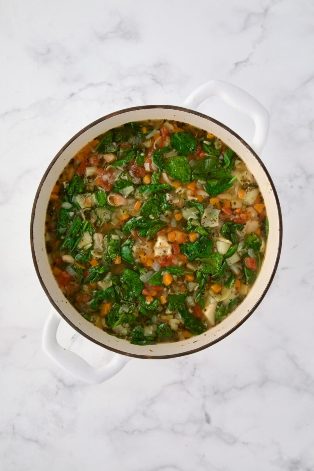 Vegetable Bean Soup Recipe - From A Chef's Kitchen