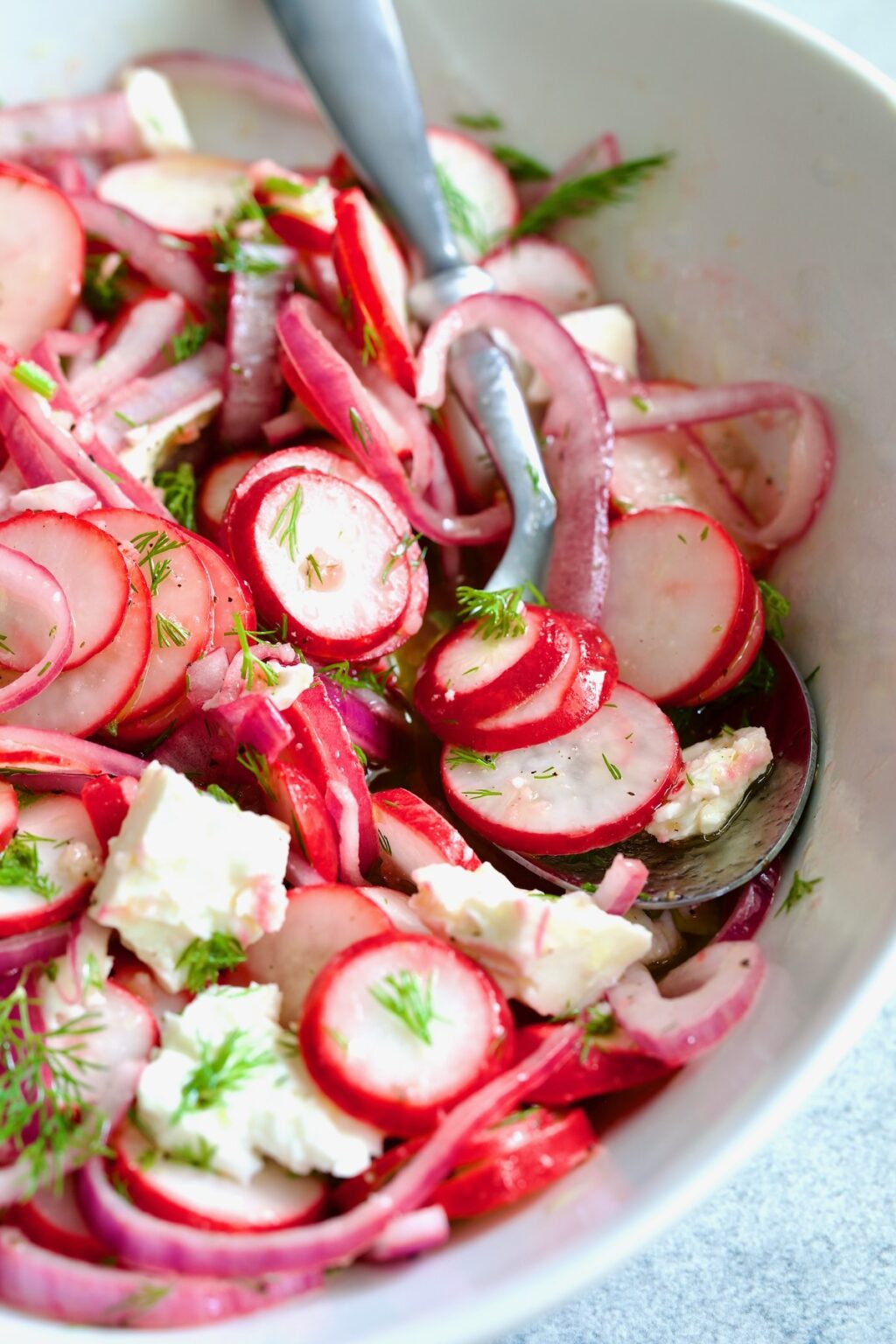 Zesty Radish and Red Onion Salad with Fresh Dill