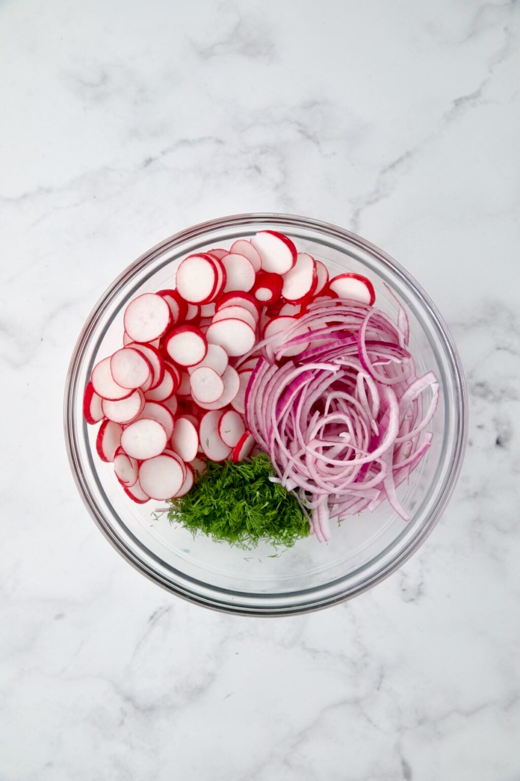 Zesty Radish and Red Onion Salad with Fresh Dill