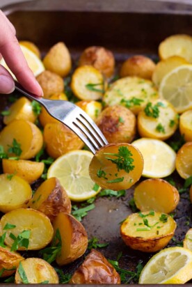 Best Potato Side Dish Recipes for Every Occasion